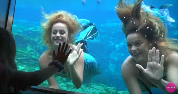 The Weeki Wachee Springs State Park Mermaid Show – Escape To The Southeast